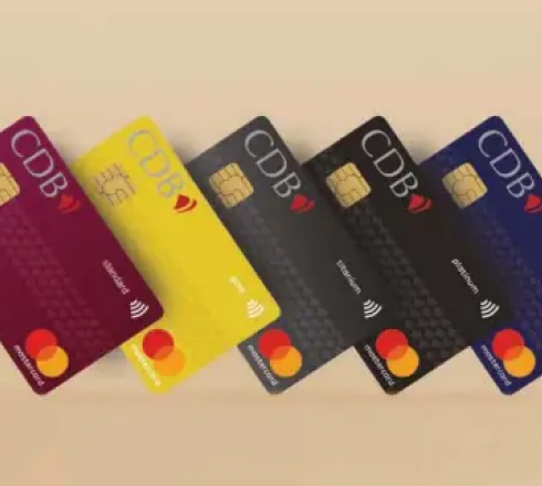 CDB | Smart & Sustainable Financing Solutions in Sri Lanka